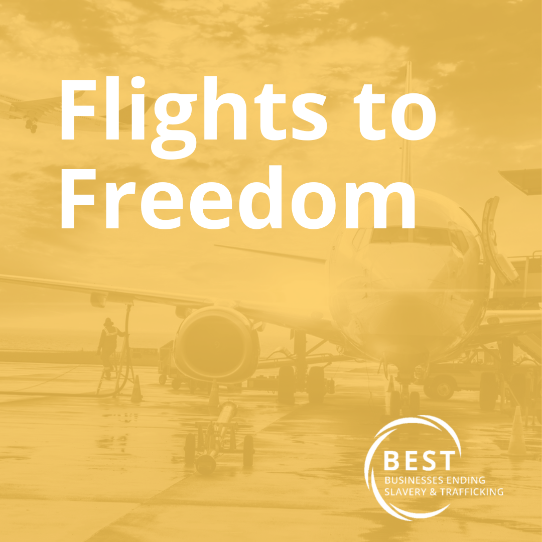 Flights to Freedom – Individual Course – Businesses Ending Slavery ...